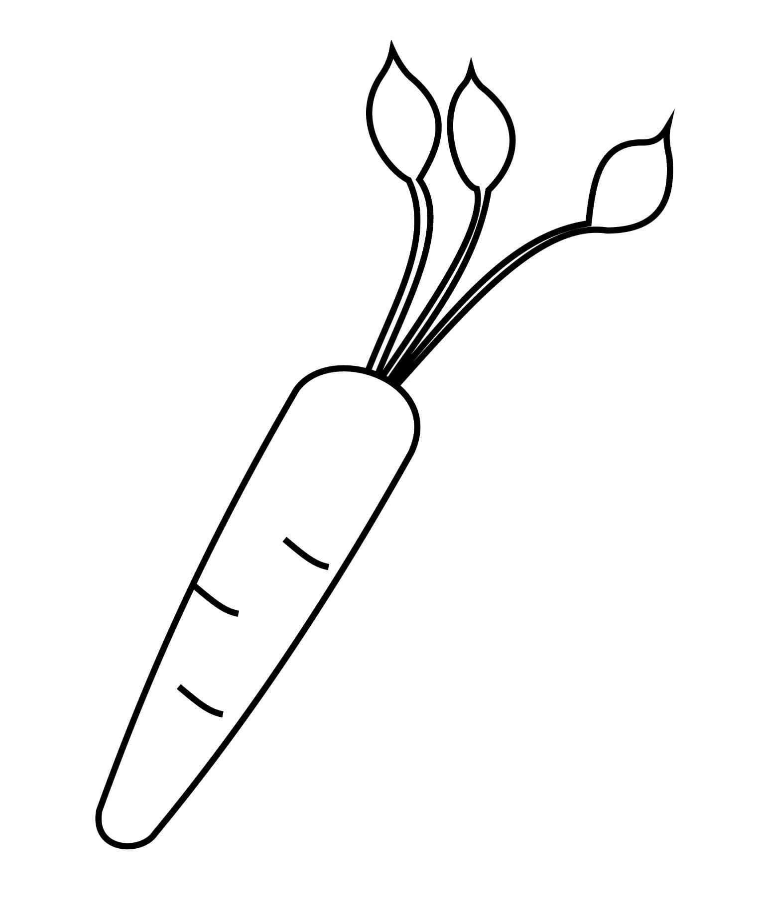 How to Draw a Carrot: An easy 3 Steps Guide for Beginner Artists ...