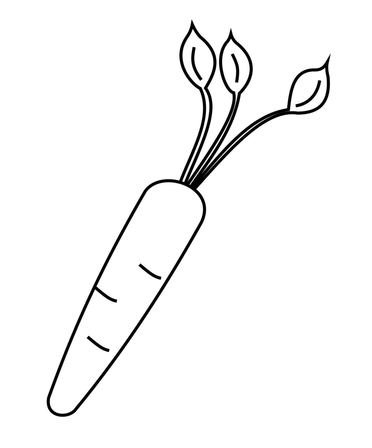 How to Draw a Carrot: An easy 3 Steps Guide for Beginner Artists ...