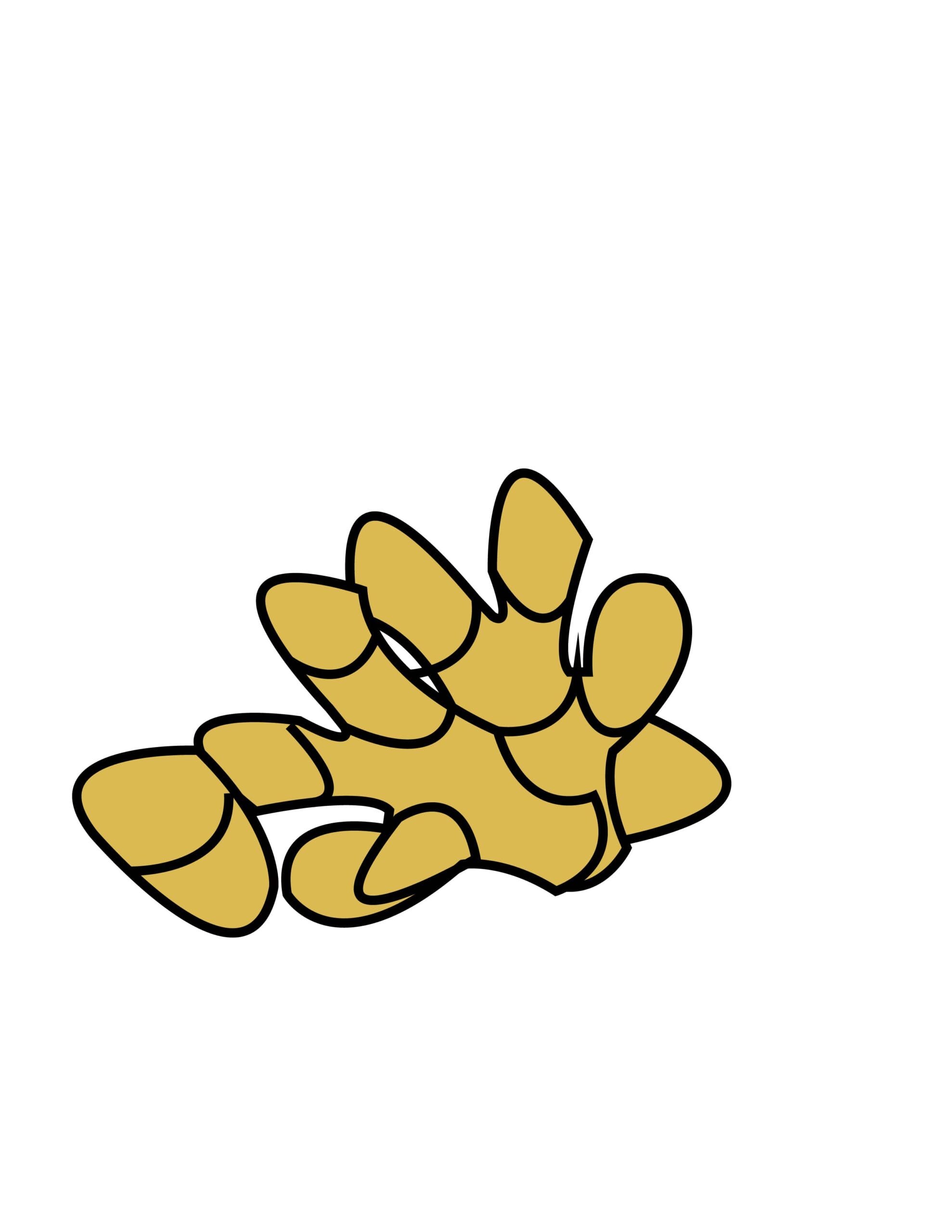 How To Draw Ginger Trying Drawing