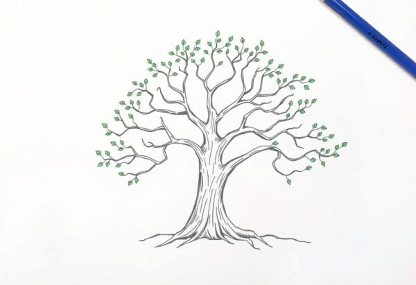 How to draw Family Tree: 6 Easy Step-by-step guide to family tree ...