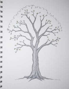How to draw Family Tree: 6 Easy Step-by-step guide to family tree ...