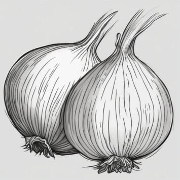 How to draw a Onion: A Beginner-Friendly Tutorial - Trying drawing