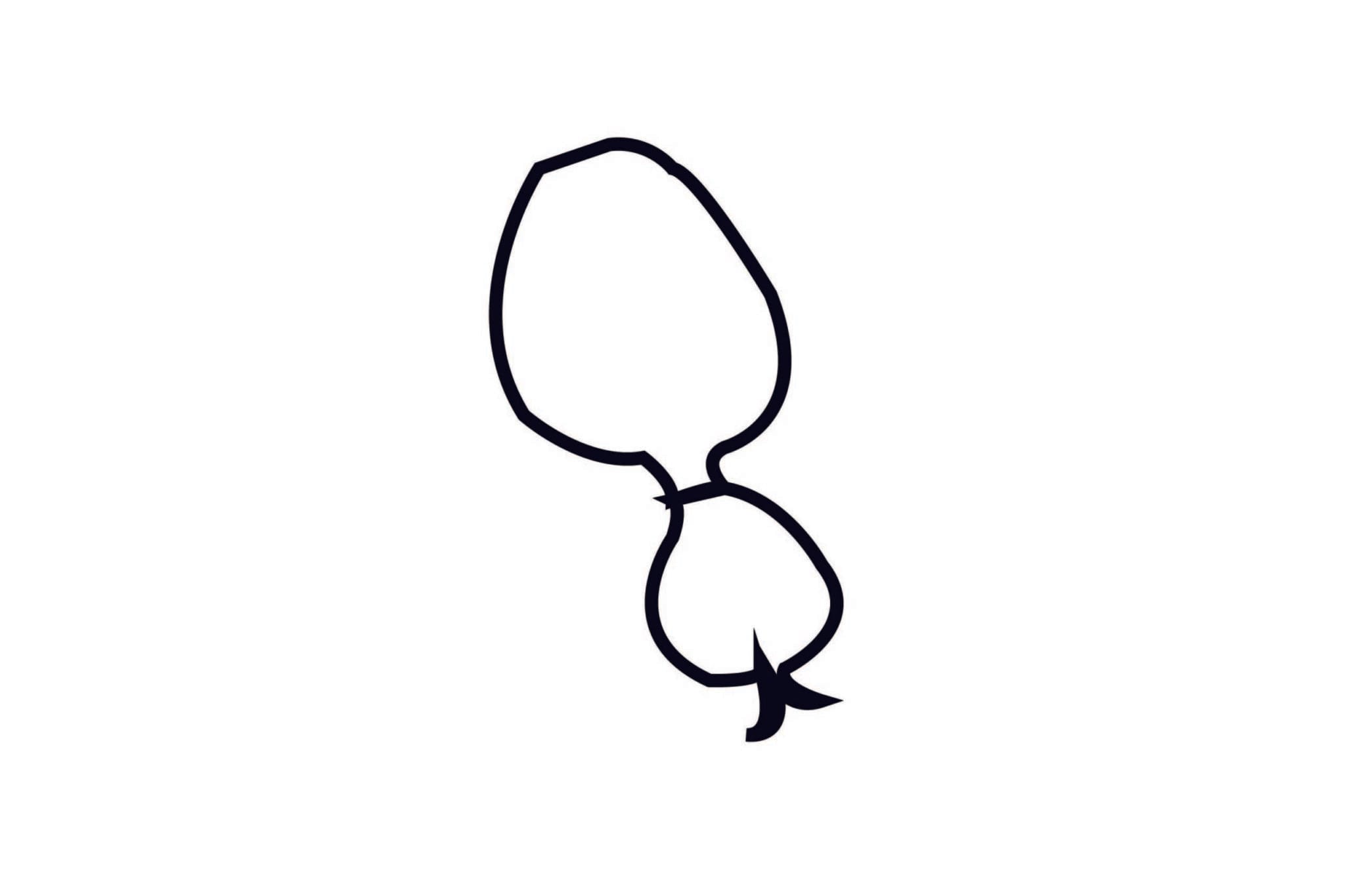 How to draw a Radish: Drawing Tips and Step-by-Step Guide - Trying drawing