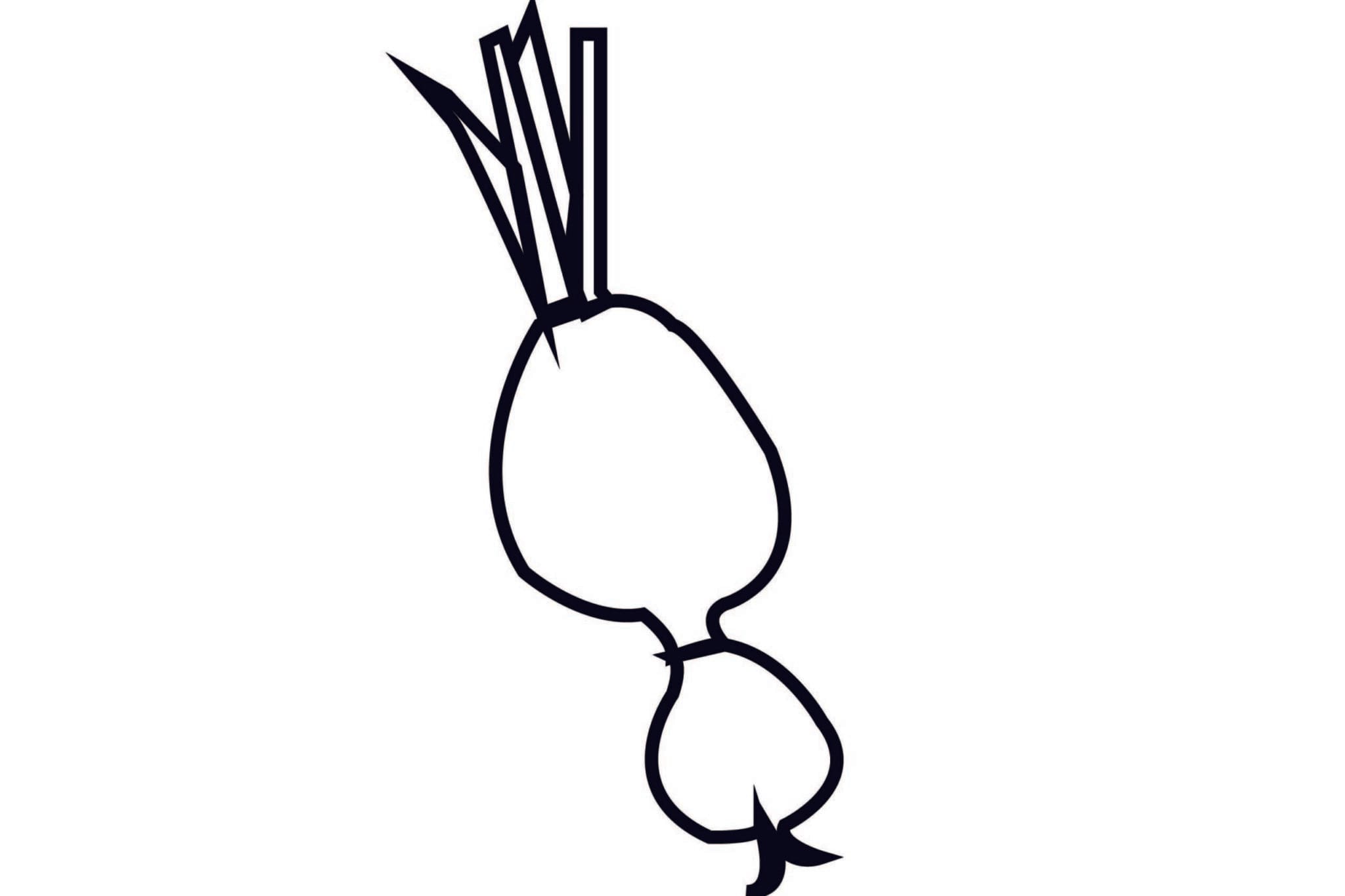 How to draw a Radish: Drawing Tips and Step-by-Step Guide - Trying drawing