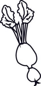 How to draw a Radish: Drawing Tips and Step-by-Step Guide - Trying drawing