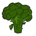 How to Draw a Broccoli: 6 Easy Steps Guide to Broccoli Drawing - Trying ...