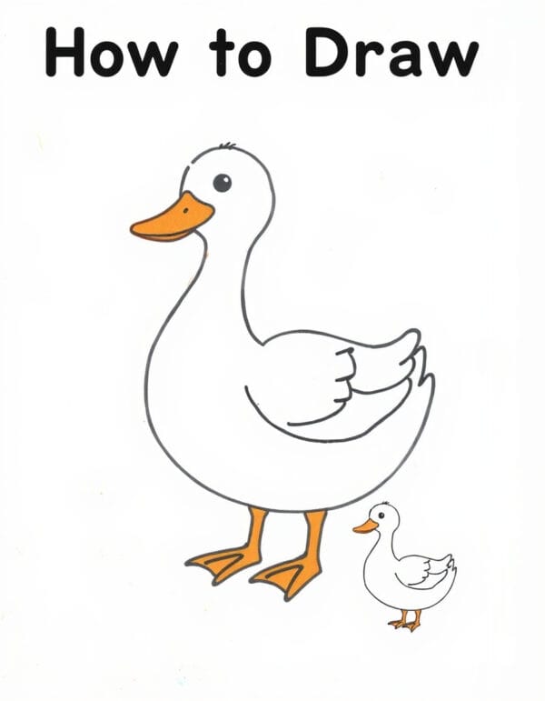 How to draw duck: 10 Easy Step-by-step Guide to duck drawing - Trying ...