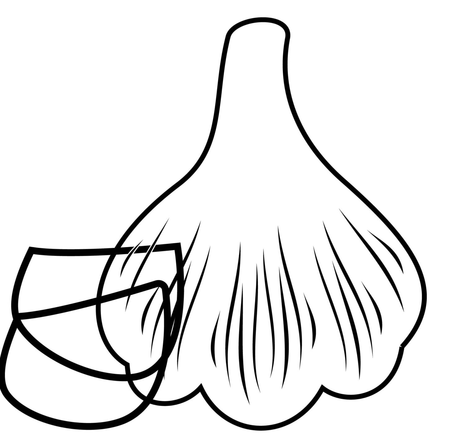 How to draw garlic - Trying drawing