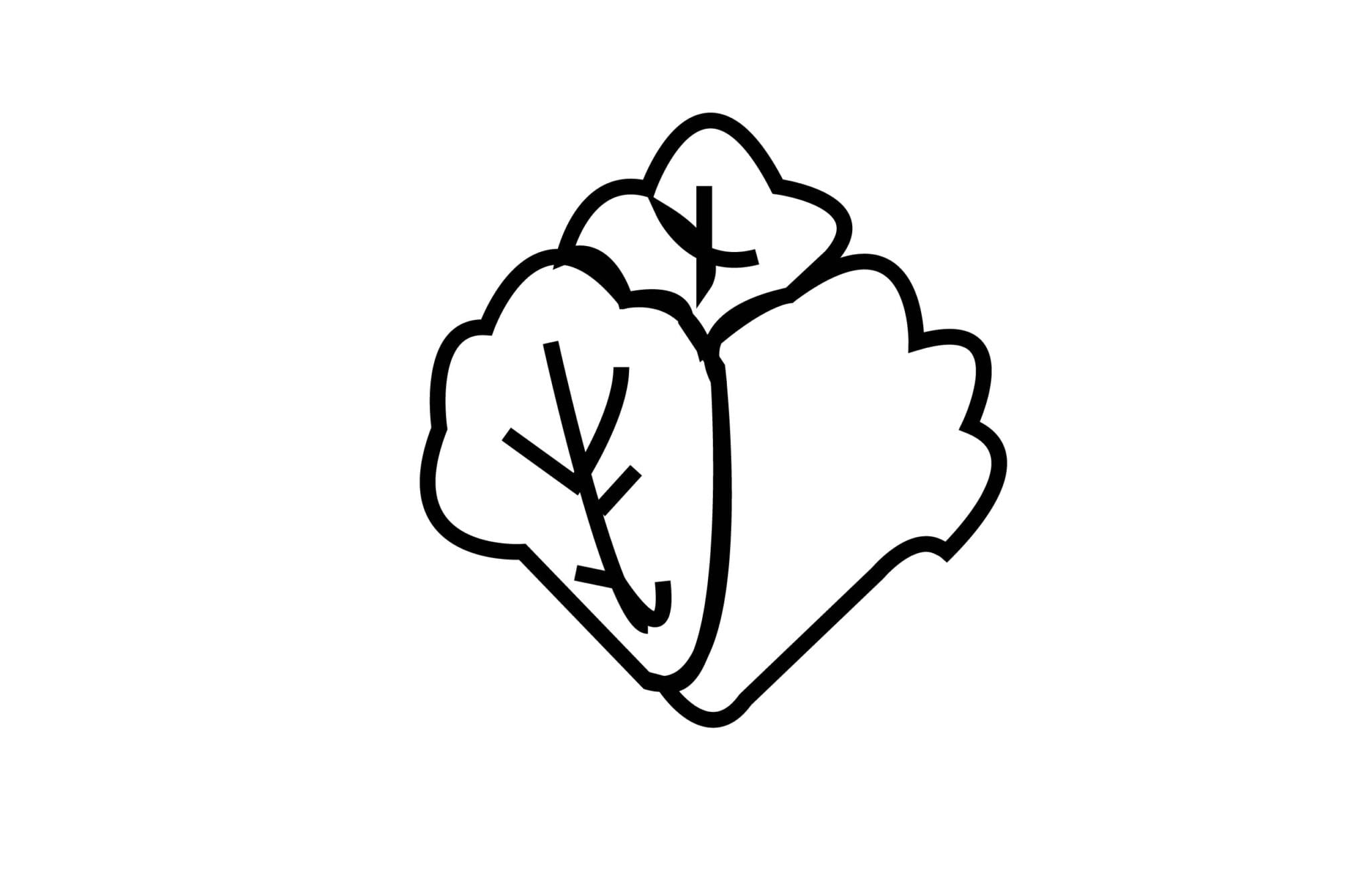 How to draw a Leafy Lettuce: A Detailed Tutorial - Trying drawing