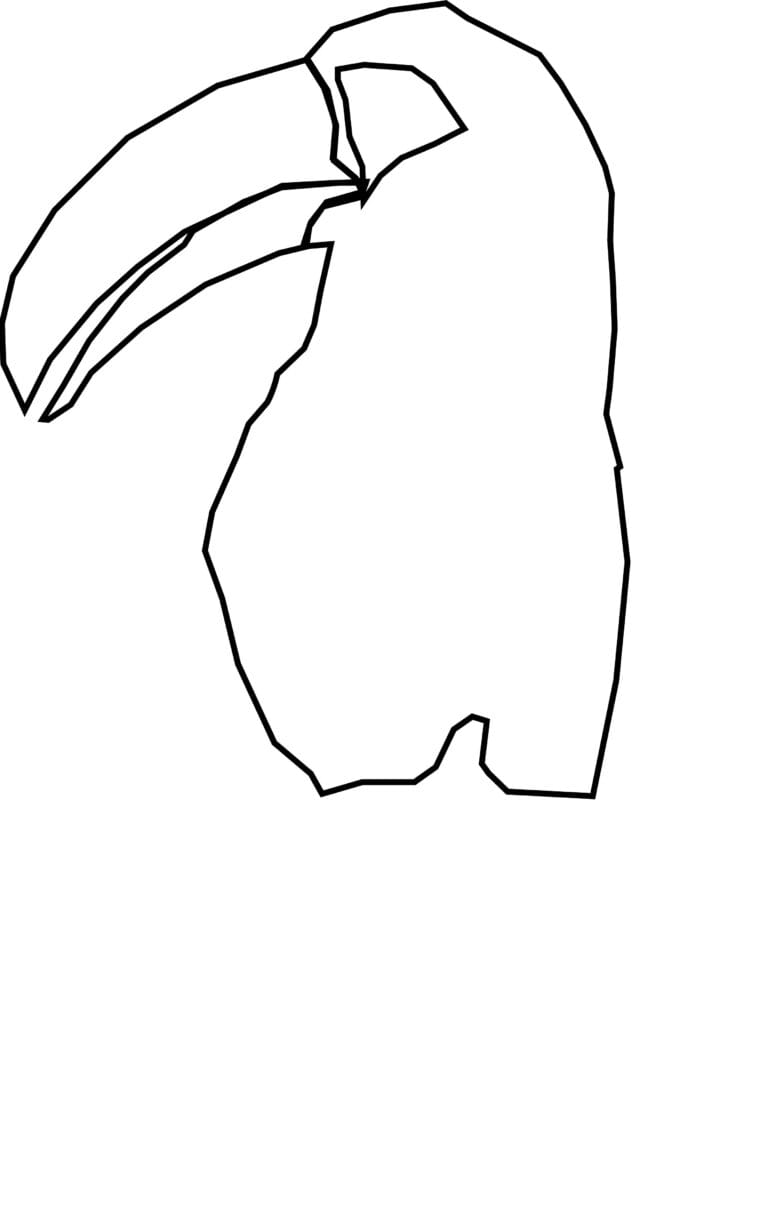 How to draw a toucan : 7 Easy Step-by-Step Guide - Trying drawing